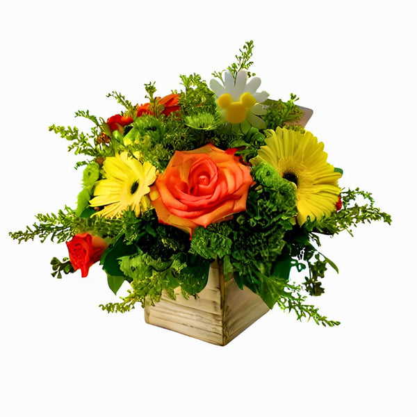 Fresh as a Daisy Arrangement – Magical Floral and Gifts by Florida ...